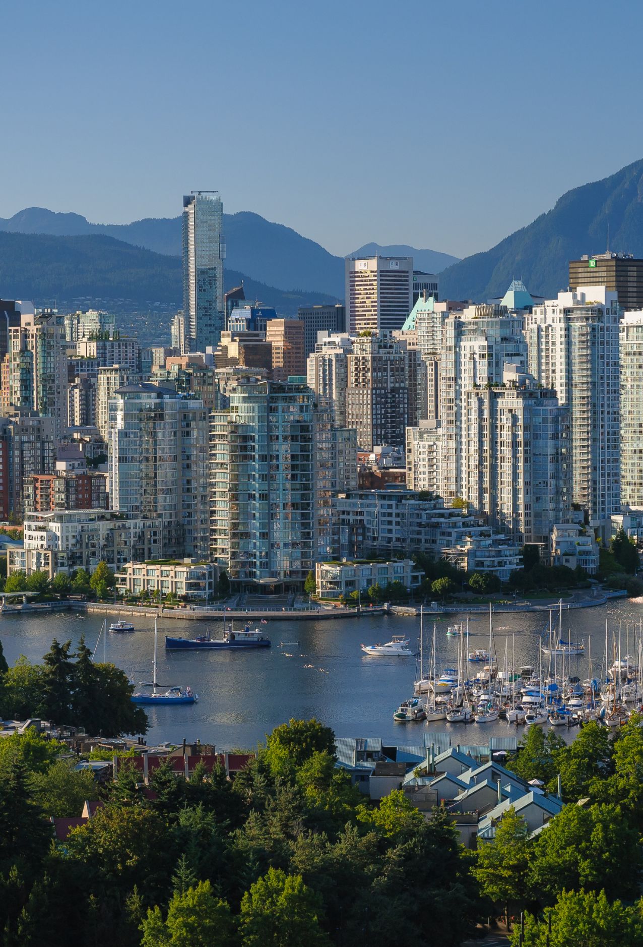 International Pulp Week - Vancouver - G2 Ocean